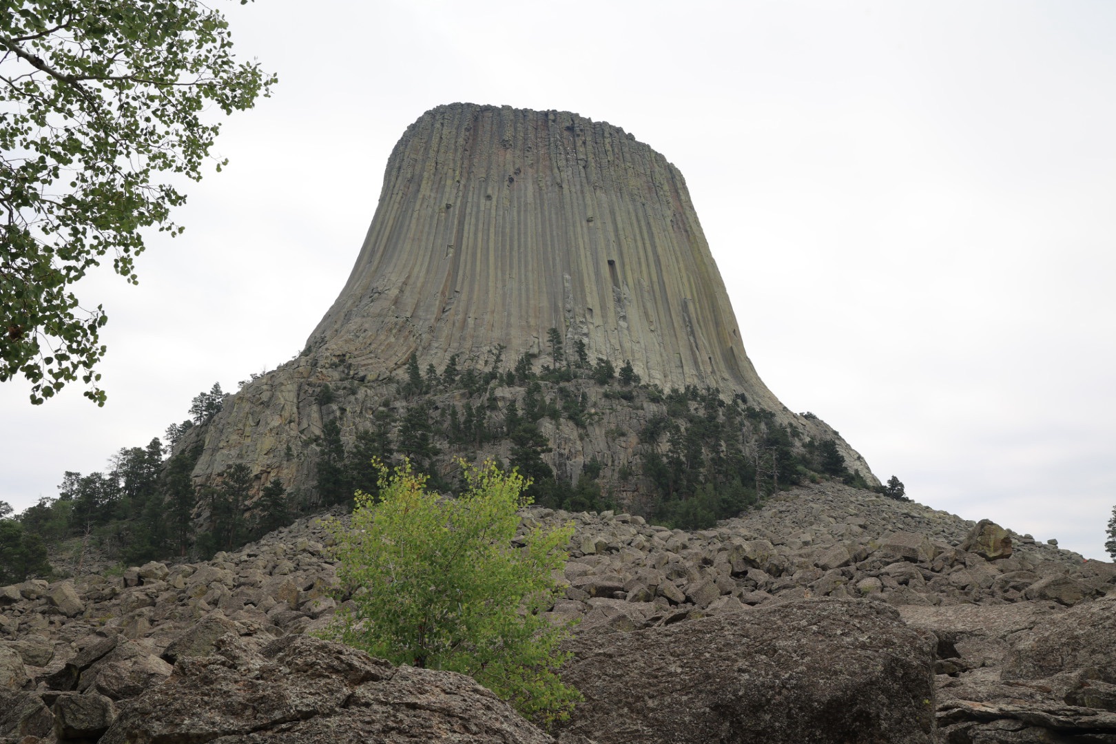 Is Devils Tower Worth Visiting, a first timer's perspective - The ...
