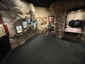 A Guide to Jewel Cave National Monument
