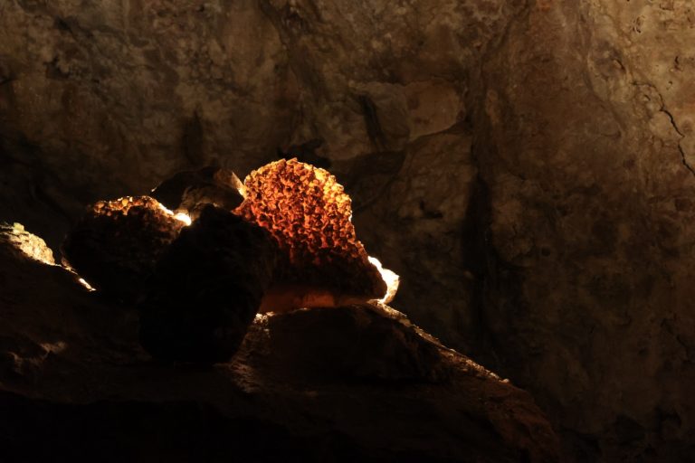 A Guide to Jewel Cave National Monument