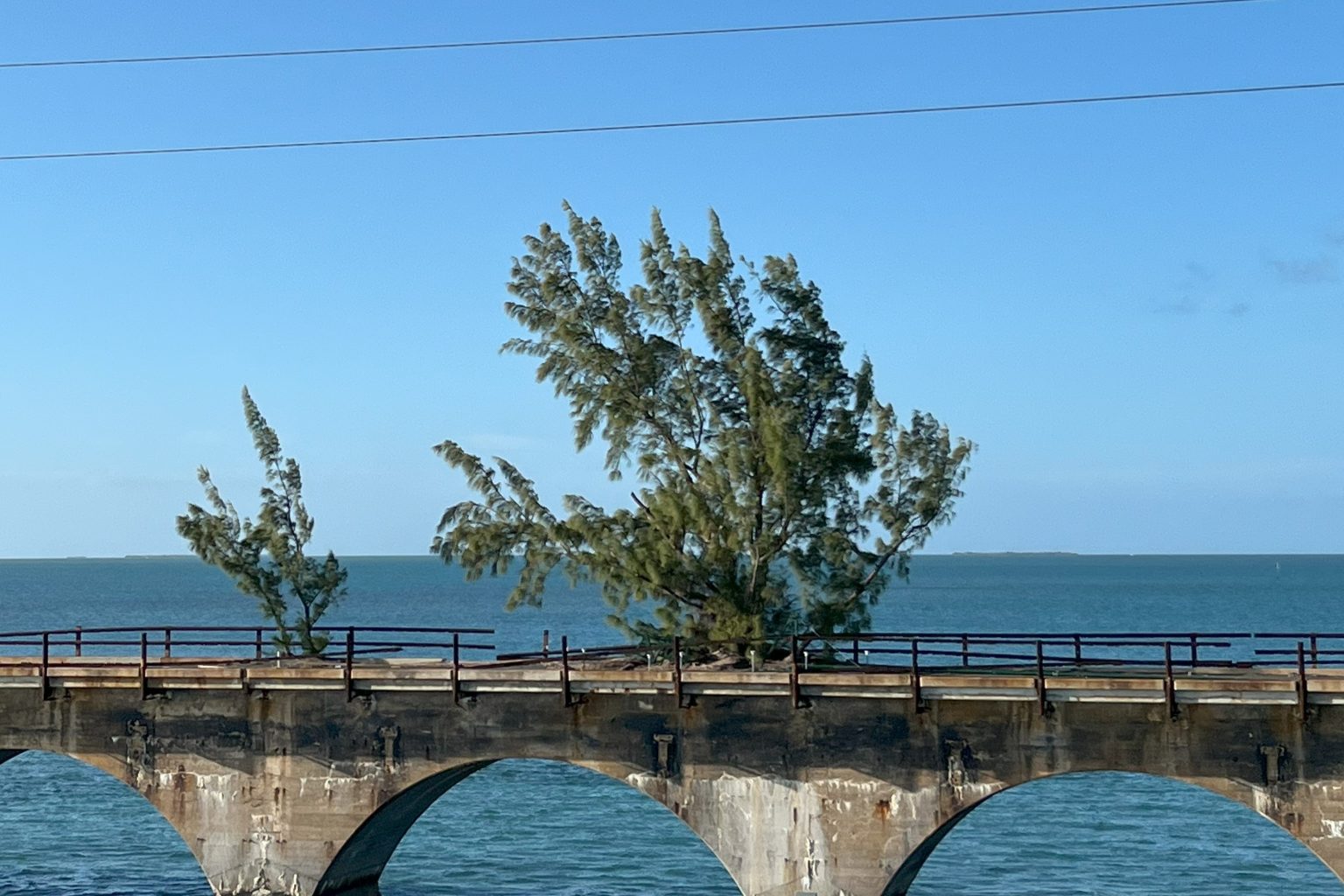 South Florida National Park Itinerary - An Amazing four days - The ...