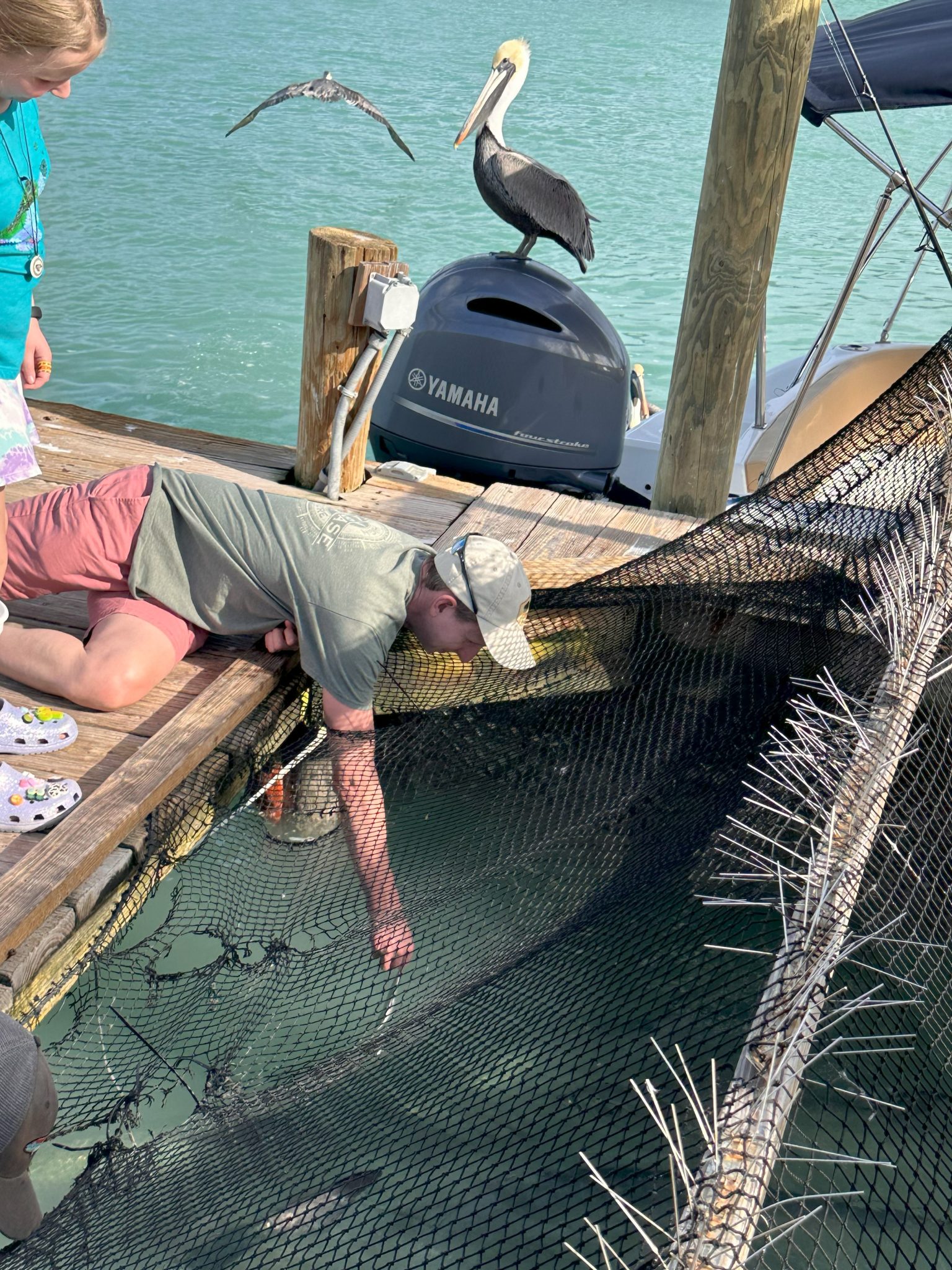 South Florida National Park Itinerary - An Amazing four days - The ...