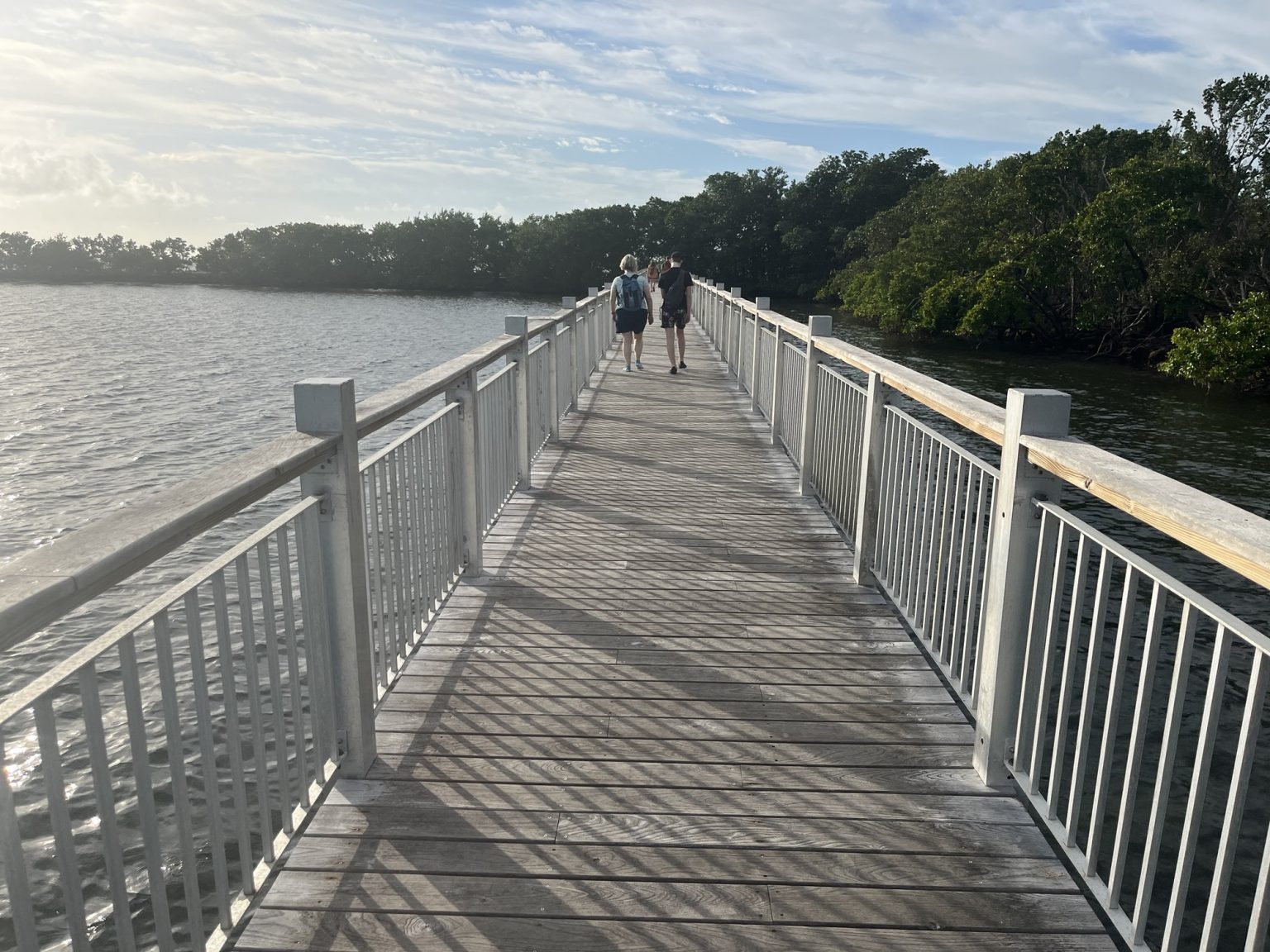 Discover A Watery World: Biscayne National Park