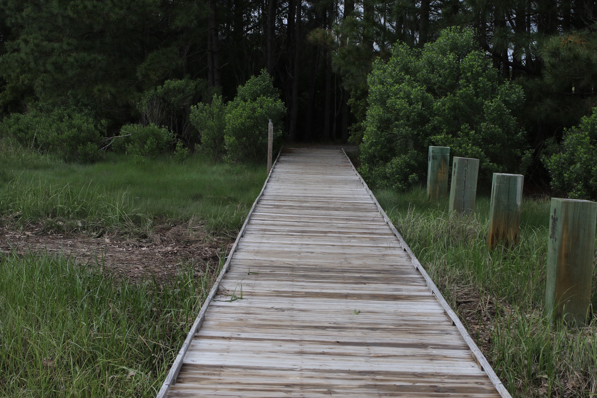 First Time Visit to Machicomoco State Park - The Roaming Monk